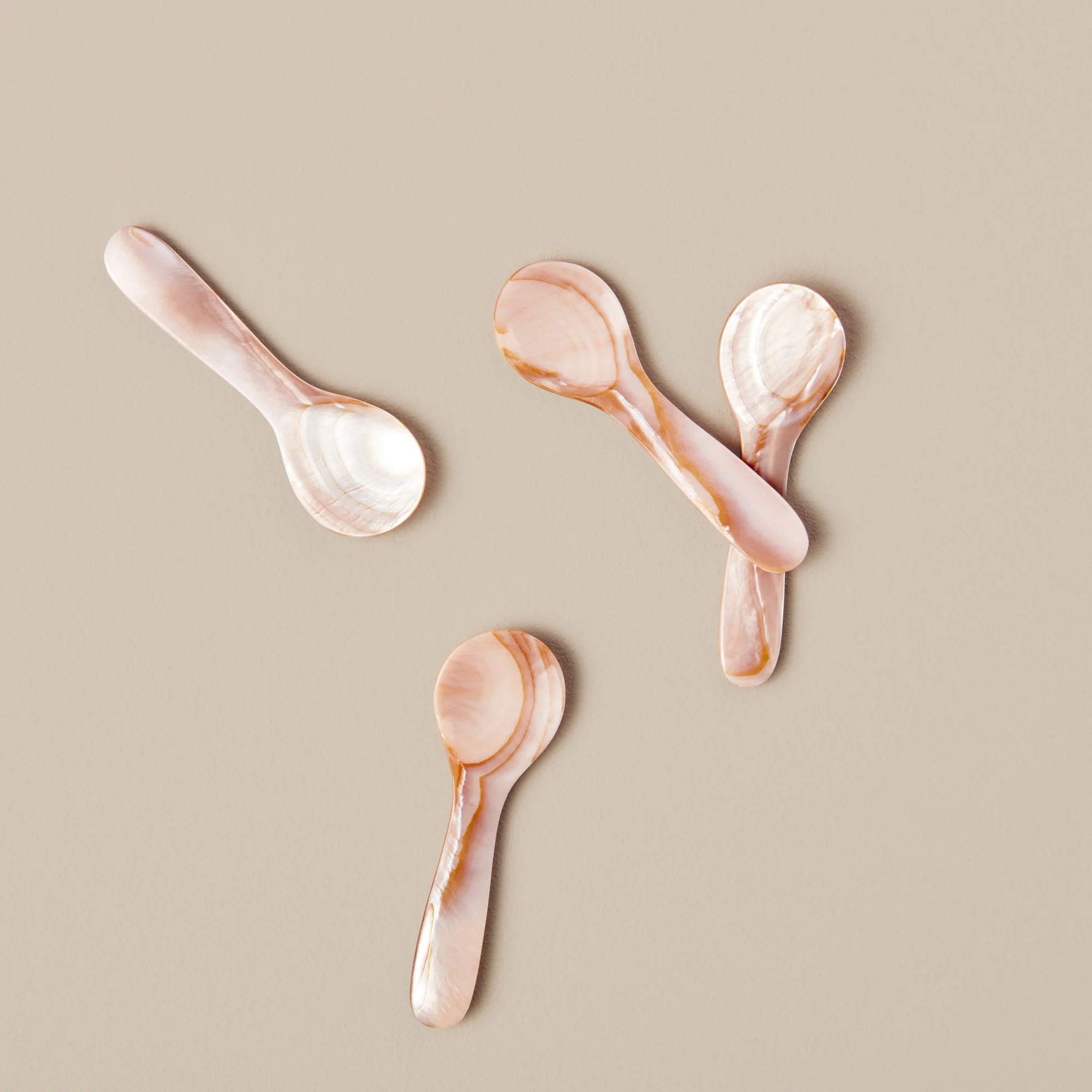 seashell spoon – Len Collective
