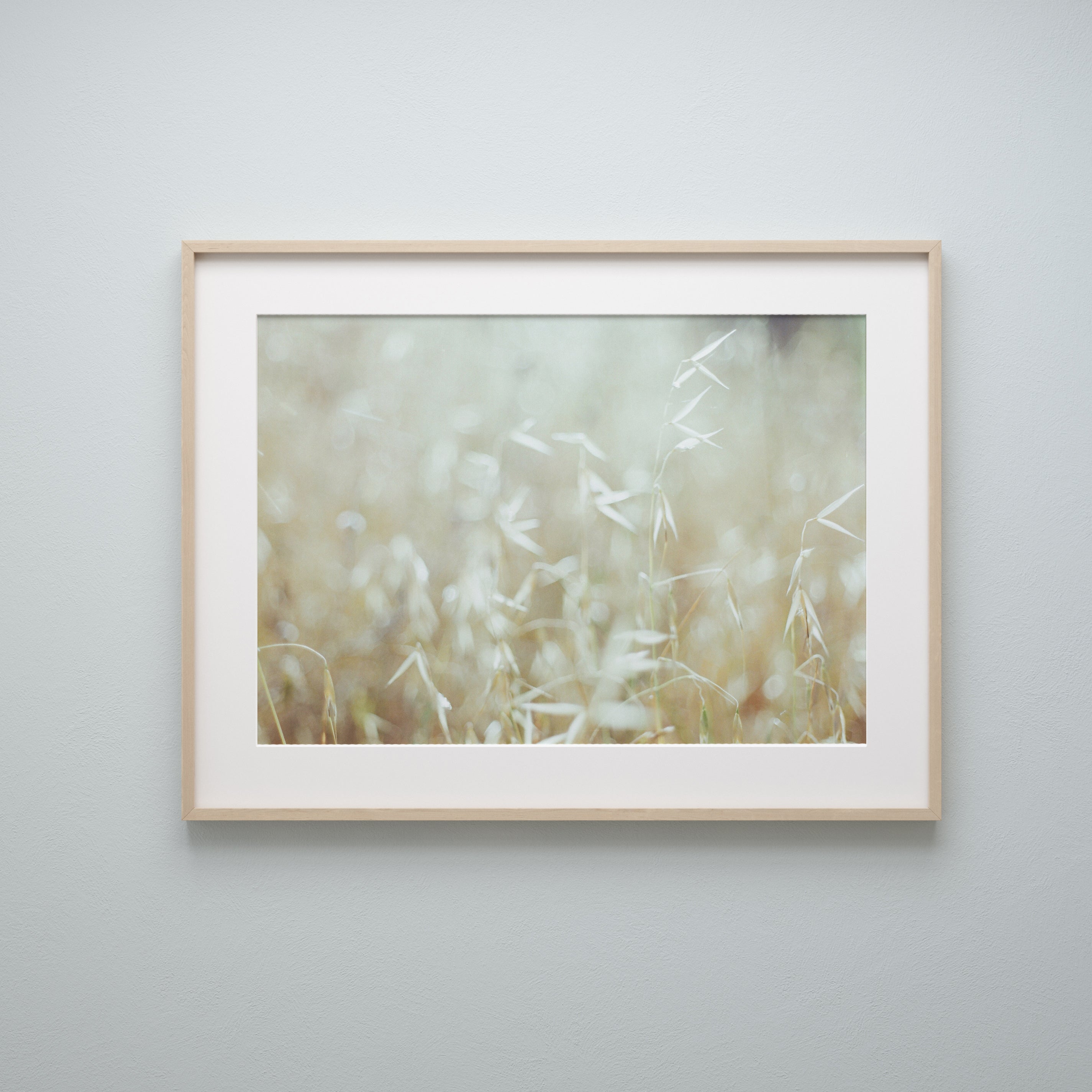 corina rose prints / softer – Len Collective